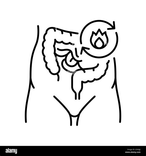 Metabolism Black Line Icon Vector Isolated Element Nutritionology Editable Stroke Editable