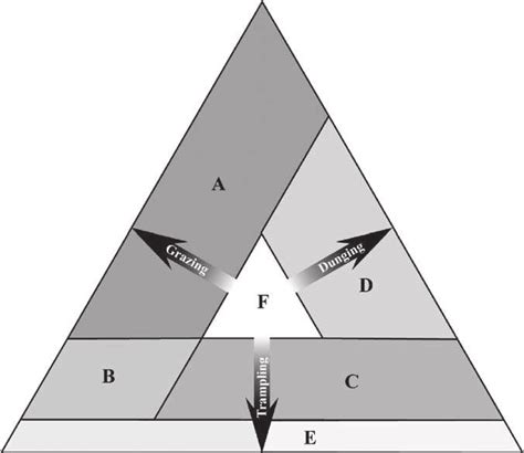 Triangle Representing The Three Factors Acting At Fine Scale In