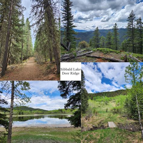 Spring Hiking In Sibbald Park Alberta Hive
