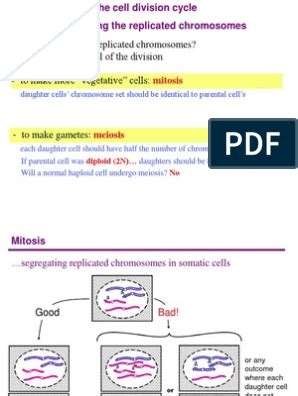 Tm 365 Sample Table Topics Questions Pdf Love Time Artofit