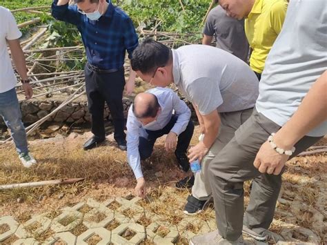 陈国忠二级巡视员赴永泰调研指导 水利工程白蚁防治和水库运行管理工作 中国福建三农网