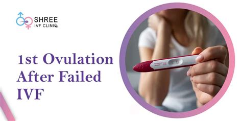 First Ovulation After Failed Ivf Cycle What To Expect Dr Jay Mehta