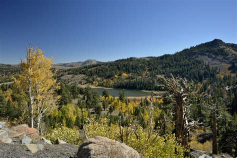 Carson Pass Scenic Highway Road Trip