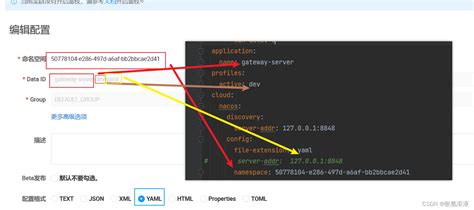 微服务 Nacos配置及简单使用 技术分享 云服务器