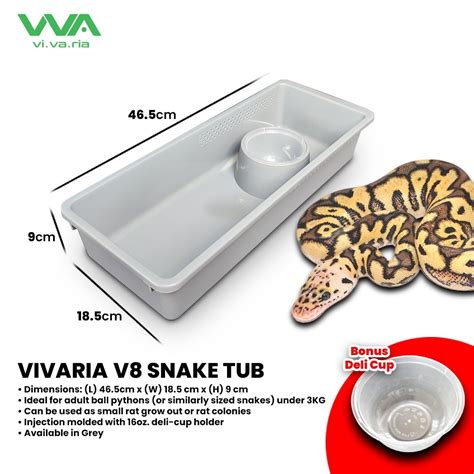 Jual Vivaria V8 Snake Tub Kotak Ball Python BP Ular Shopee Indonesia