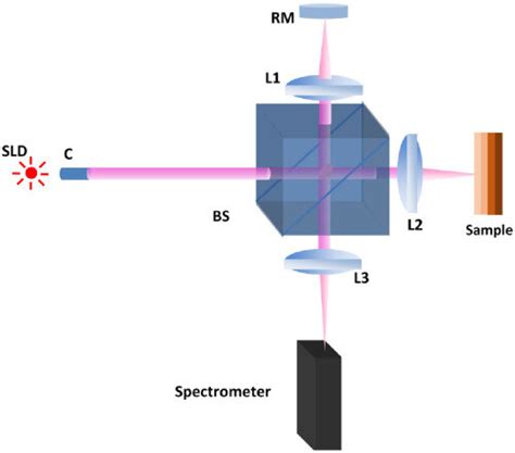 Schematic Diagram Of The In House Sd Oct System Bs Beam Splitter L1