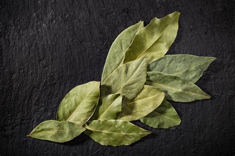 검은 배경에 마른 월계수 잎이 잔뜩 있다 향기로운 향신료 월계관 레시피 재료 0명에 대한 스톡 사진 및 기타 이미지 0명 녹색 님나무 Istock