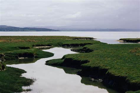 무료 이미지 바다 연안 구조 육지 호수 만 저수지 평원 골프 코스 서식지 생태계 강어귀 소금 습지 자연 환 경 지리적 특징 스포츠 경기장