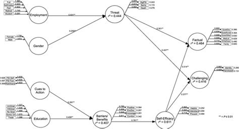 Final Patient Partial Least Squares Model Download Scientific Diagram