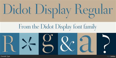 Fonts Similar To Didot Display