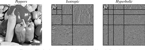 Figure 1 From Hyperbolic Wavelet Fisz Denoising For A Model Arising In