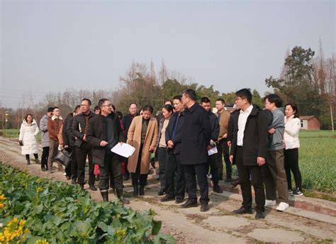 省种业集团项目专题会在川农牛科创农庄顺利召开！ 科创云超市农信科创公共服务平台