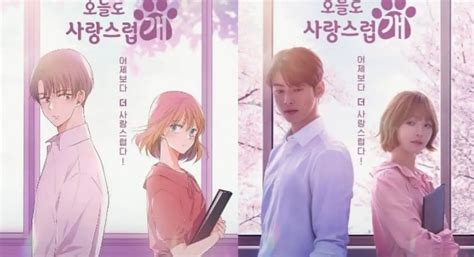 Sinopsis Drama Korea A Good Day To Be A Dog Cha Eun Woo Jadi Pria