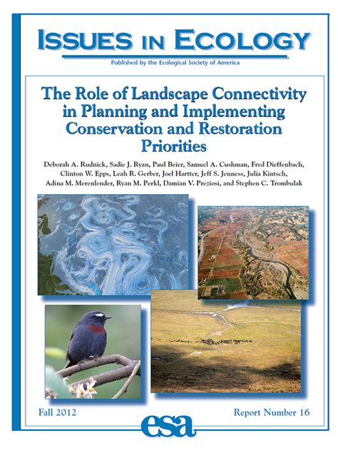 Issues In Ecology Series Connectivity Conservation Corridor