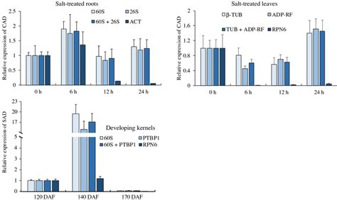 relative expression of cad and sad using validated reference genes for