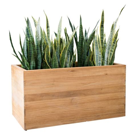 Rectangular Pots Planting Ideas At David Gustavo Blog