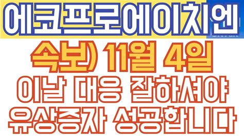 에코프로에이치엔 주가전망 긴급 11월 4일 중요 이날 대응 잘하셔야 유상증자 성공합니다 Youtube