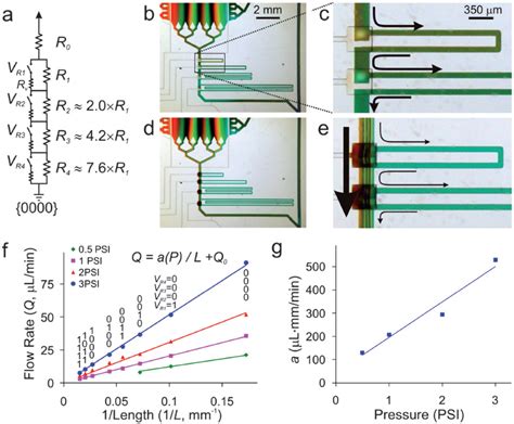Figure 4 From A Multi Purpose Microfluidic Perfusion System With