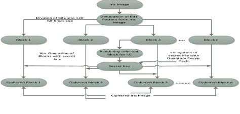block diagram of bio chaotic algorithm download scientific diagram