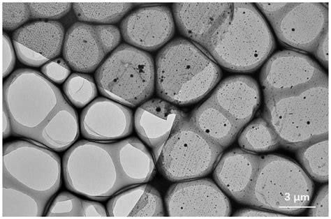 Two Dimensional Conjugated Polymer Heterojunction And Preparation Method And Application