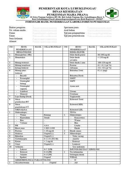 Formulir Hasil Lab Pdf
