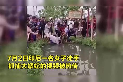 胆子真大！实拍：印尼一女子河中徒手 盲抓”大蟒蛇！