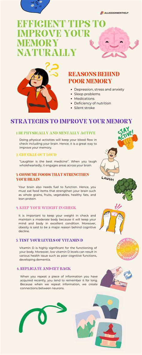 Efficient Tips To Improve Your Memory All Assignment Help