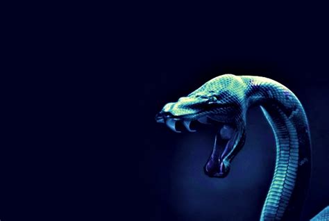 Hackers Hit Europes Largest Healthcare Provider With Snake Ransomware