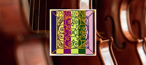 Product Review Pirastro Passione Solo Violin Strings Simply For Strings