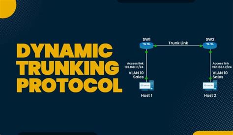 DTP In Networking Dynamic Trunking Protocol PyNet Labs