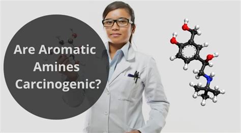 Are Aromatic Amines Carcinogenic What Do You Need To Know