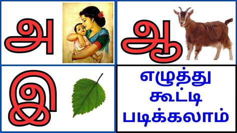 உயிர் எழுத்துக்கள் அ ஆ இ ஈ Learn Tamil Alphabets Litters Youtube