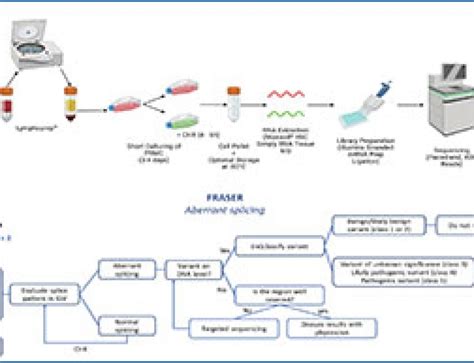 Split Seq Single Cell Profiling With Split Pool Barcoding Rna Seq Blog