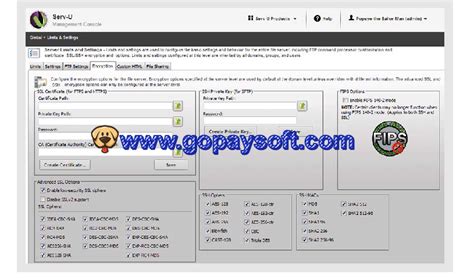 工具软件 Solarwinds Serv U Mft Server 1540147破解版 Gopaysoft 与您共同关注最新软件资讯