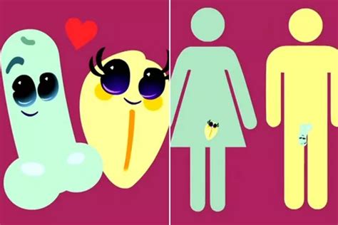 El Camino Del Norte Swedify Yourself