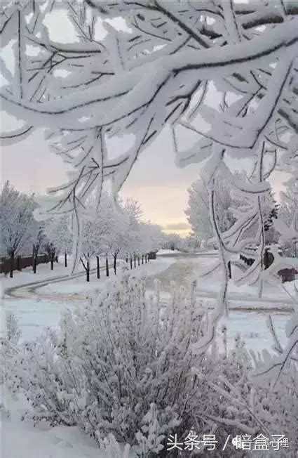 飄進唐詩里的小雪看唐代詩人如何度過今天 每日頭條