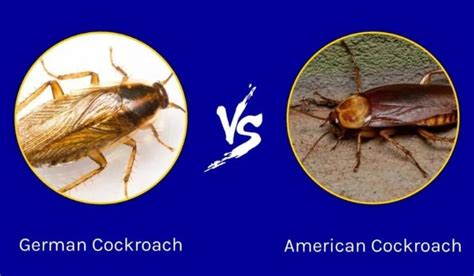 Sure You Want To Take A Sip Of That Drink You Left In The Car Trp