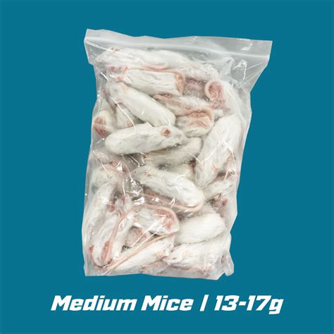 Frozen Mice Medium Polar Rodents