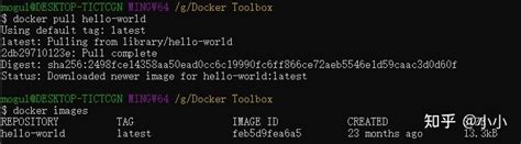 Docker Toolbox安装 知乎