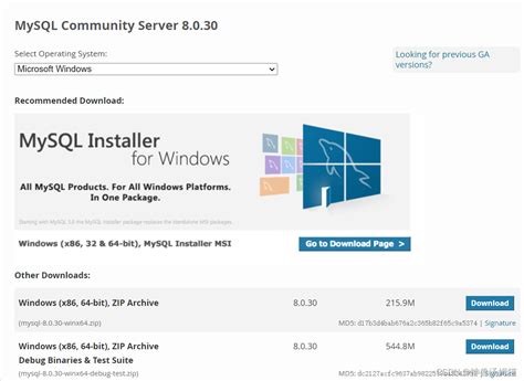 最全mysql下载安装详细配置 超详细保姆级，附常见问题解决方法（2024更新版）。 Csdn博客