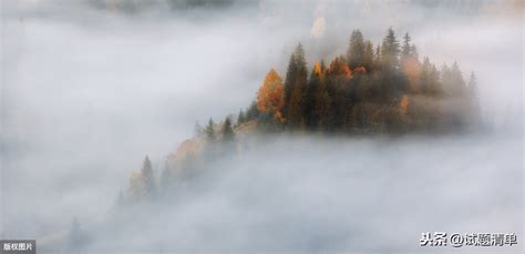 雾是怎样形成的物理知识（从物理的角度看：雾是如何形成的？三分钟让你涨知识） 说明书网