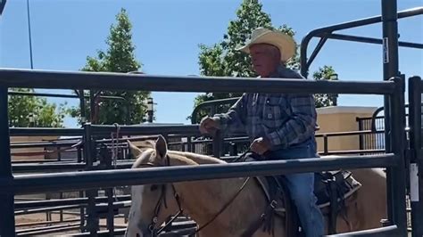 ლას ვეგასი 4 საათით მამალი ძროხები 1 ნაწ Youtube