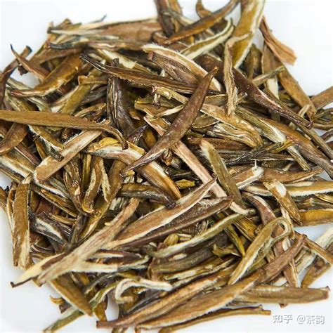 认识君山银针毫香鲜嫩滋味醇厚 知乎