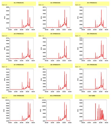 Analysis Of Quality Of Total Rna On Fragment Analyzer Representative