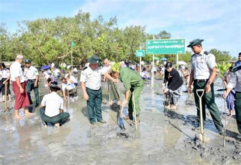 မြန်မာနှင့် အိန္ဒိယ တိုင်းရင်းဆေးပညာကဏ္ဍ နှစ်နိုင်ငံပူးပေါင်းဆောင်ရွက်နိုင်ရေး အမြင်ချင်း ဖလှယ်ဆ