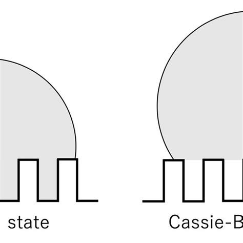 Schematic Diagrams Of Wenzel State And Cassie Baxter State Download Scientific Diagram