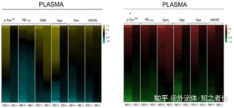 如何高效研究ad标志物？快来看看这篇文章 知乎