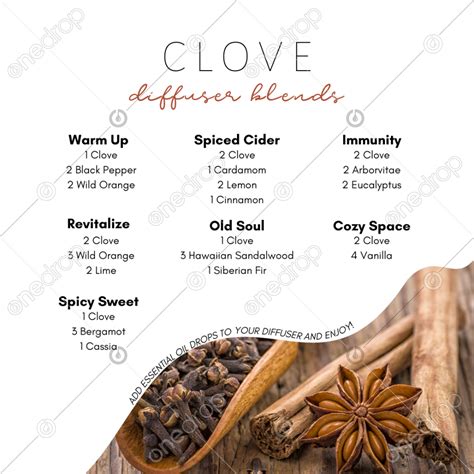 Clove Diffuser Blends By Pixel Perfect
