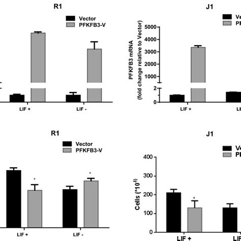 Pfkfb3 Silencing Induces Differentiation Marker Brachyury Expression In