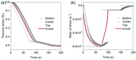 Difference Between Ideal Shrinkage And Actual Shrinkage A Ideal Download Scientific Diagram
